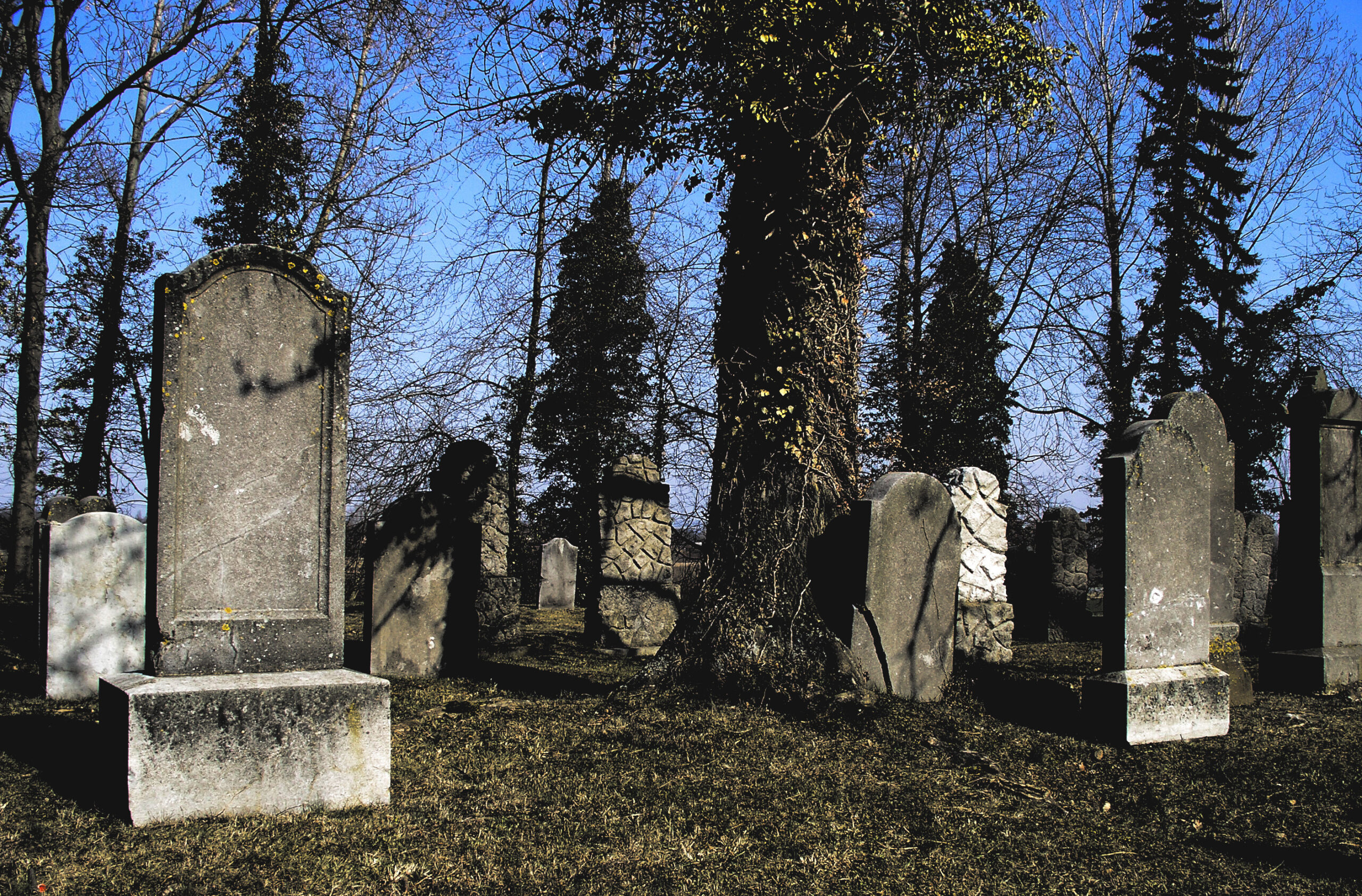 The History of Gravestones: Tracing the Evolution of Gravestone Designs ...